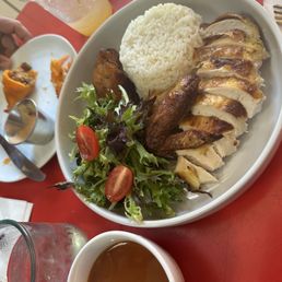 COCOTAZO - Updated November 2024 - 73 Photos & 25 Reviews - 1590 Park ...