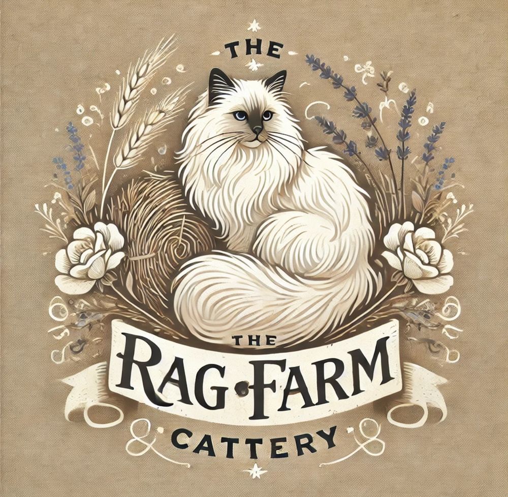 THE RAG FARM - Updated January 2025 - Request Information - 10 Photos ...
