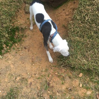 LYNN GRIPON PARK - Updated June 2024 - 58 Photos & 28 Reviews - 100 ...