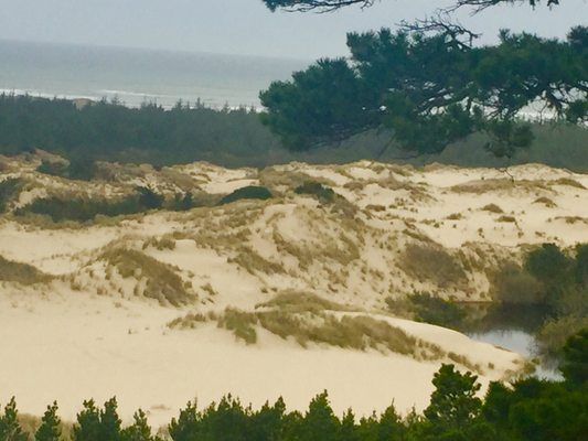 OREGON DUNES NATIONAL RECREATION AREA VISITOR CENTER - Updated August ...