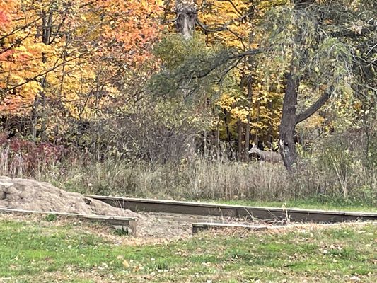 FORMAR NATURE PRESERVE & ARBORETUM - Updated July 2025 - 25 Photos & 13 ...