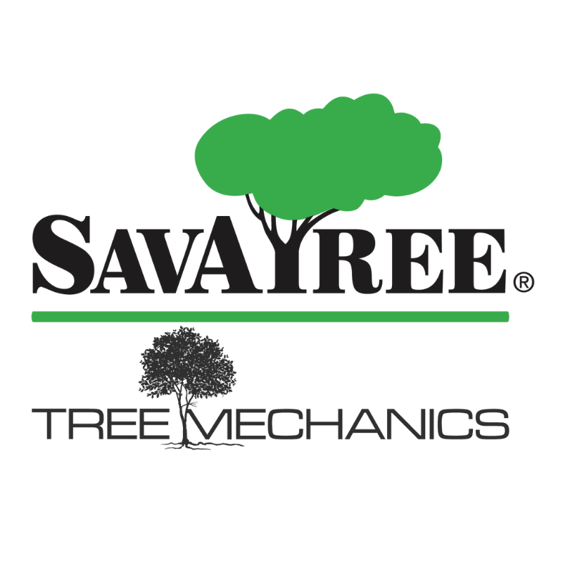 TREE MECHANICS - Updated January 2026 - Buffalo, Wyoming - Tree ...