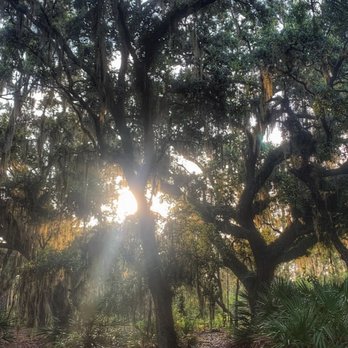 SPLIT OAK FOREST - Updated January 2025 - 71 Photos & 14 Reviews ...