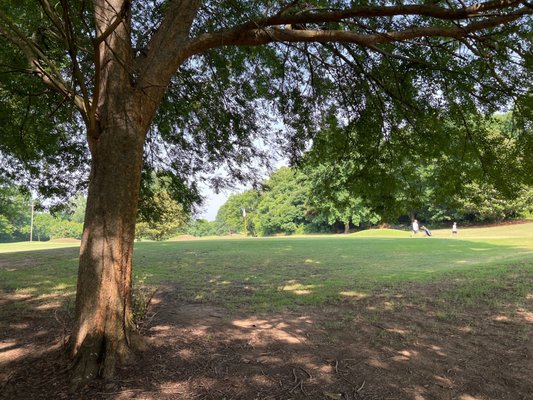 VINNYLINKS GOLF COURSE - 52 Photos & 12 Reviews - 2009 Sevier St ...