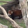 RED RIVER ZOO - Updated September 2025 - 183 Photos & 39 Reviews - 4255 ...