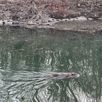 DELAWARE PARK - Updated September 2025 - 153 Photos & 69 Reviews - 84 ...