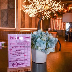 BALD KITTY - Updated July 2025 - 10 Photos - 1113 Providence St ...