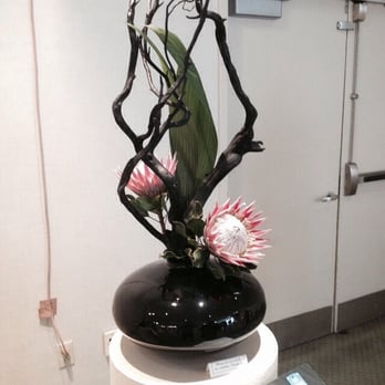 BOSTON FLOWER & GARDEN SHOW - Updated September 2025 - 55 Photos & 38 ...