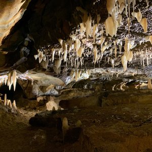 BULLDOG DINER - 19 Reviews - 30 Lowry Dr, West Milton, OH - Menu - Yelp