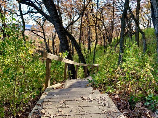 FRONTENAC STATE PARK - Updated September 2024 - 62 Photos & 17 Reviews ...