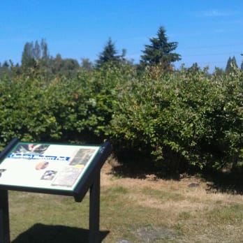 BLUEBERRY PARK - Updated January 2026 - 26 Photos & 14 Reviews - 7417 E ...