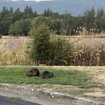 PREMIER RV RESORTS - Updated October 2025 - 100 Photos & 67 Reviews ...