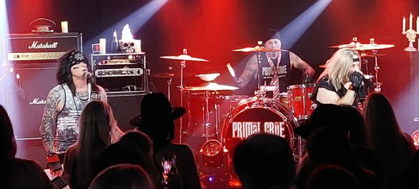 WING SHACK - Updated December 2025 - 239 Photos & 247 Reviews - 4650 E ...