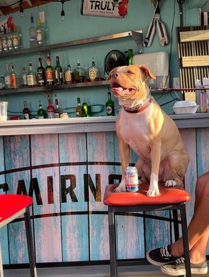 THE BROKEN OAR - Updated December 2025 - 186 Photos & 209 Reviews - 864 ...