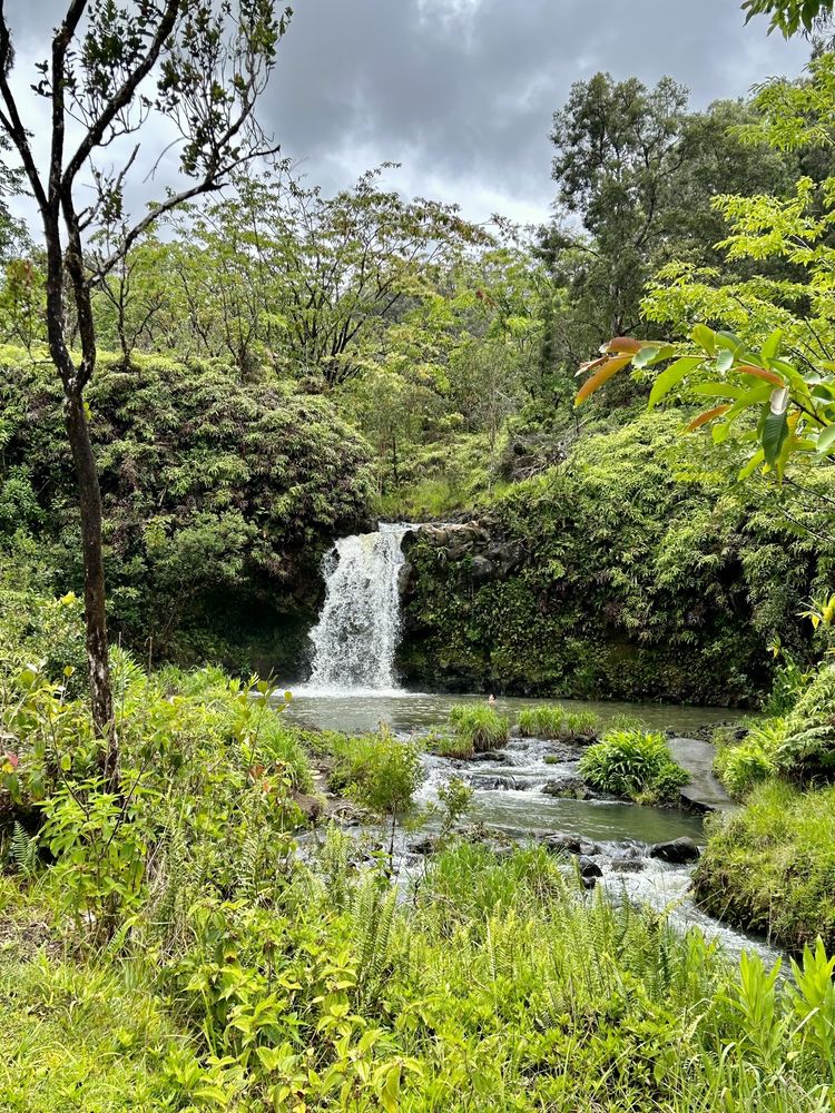 OHE’O GULCH - Updated May 2026 - 188 Photos & 38 Reviews - Haleakala ...