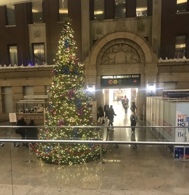 BELLEVUE HOSPITAL CENTER - Updated December 2025 - 42 Photos & 73 ...