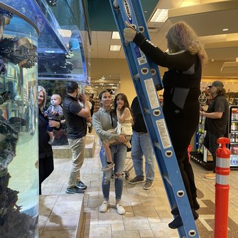 SCHEELS - Sports Wear at 1200 Scheels Dr, Sparks, Nevada - 1026 Photos ...