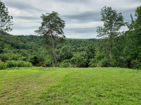 BLUE HOLLER CAFE - 24 Photos & 28 Reviews - Cafes - 7713 Nolin Dam Rd ...