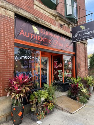 ELEPHANT #8 THAI TASTE - 43 Photos & 49 Reviews - 126 S Main St ...