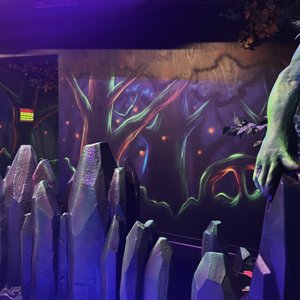 WILD FUN ZONE - 32 Photos & 18 Reviews - 310 Broadway, Wisconsin Dells ...