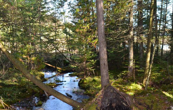 IARGO SPRINGS INTERPRETIVE SITE - Updated October 2025 - 40 Photos & 10 ...