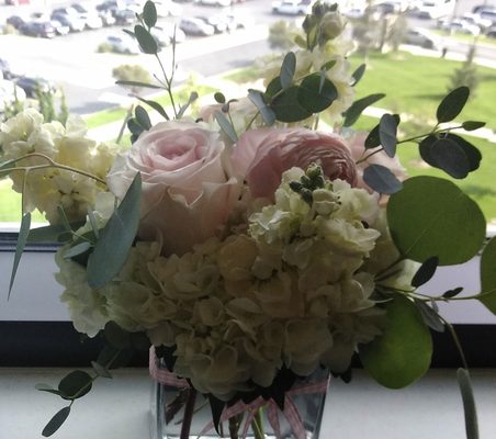 NEST - Updated October 2024 - 1856 E Cinderella Rd, Springfield ...