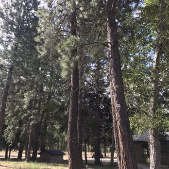 WHISPERING PINES RV PARK - Updated July 2024 - 67 Photos & 30 Reviews ...