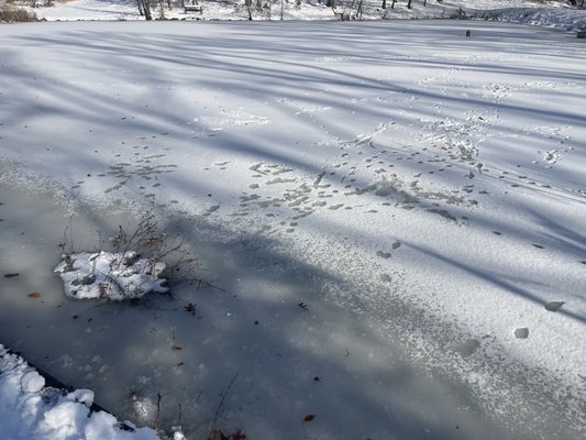 HIDDEN POND NATURE CENTER - Updated December 2025 - 74 Photos & 38 ...