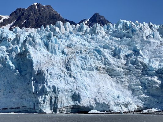 STAN STEPHENS GLACIER & WILDLIFE CRUISES - Updated September 2025 - 76 ...