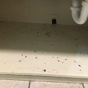 CARMELITOS HOUSING PROJECT - Updated November 2024 - 14 Photos - 1000 E ...