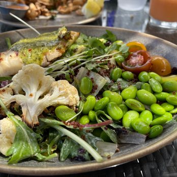 PACIFIC CATCH - 2418 Photos & 1298 Reviews - 5251 Martinelli Way ...