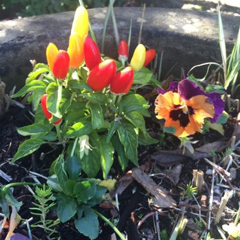 WORLD FORESTRY CENTER - Updated September 2024 - 202 Photos & 55 ...