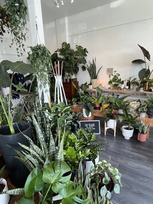 URBAN SCOUT - SAN FRANCISCO - Updated April 2025 - 39 Photos & 16 ...