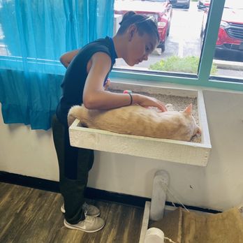 MOCHAS AND MEOWS - Updated July 2024 - 121 Photos & 68 Reviews - 3265 ...