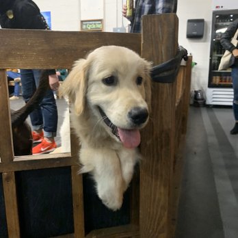 CYCLE DOG - Updated December 2025 - 50 Photos & 32 Reviews - 2056 NW ...