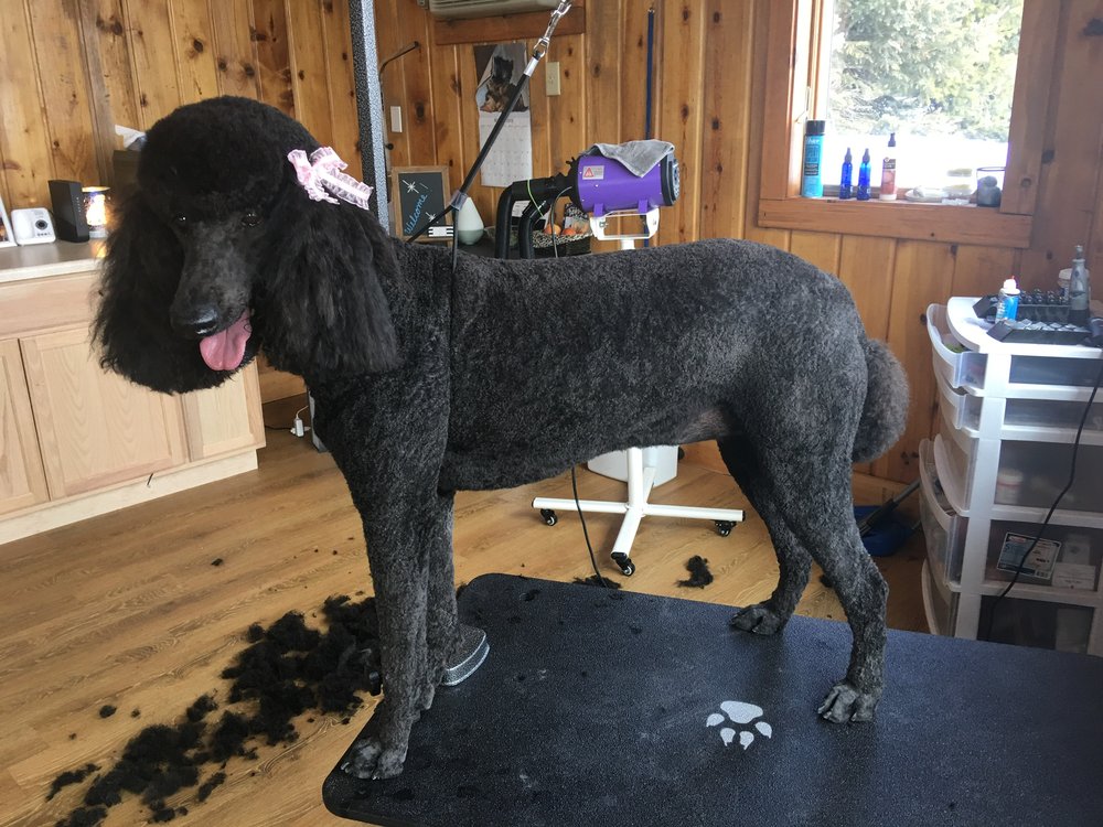 THE PAW SPAW - Updated December 2025 - 3413 Hwy 20, Island Park, Idaho ...