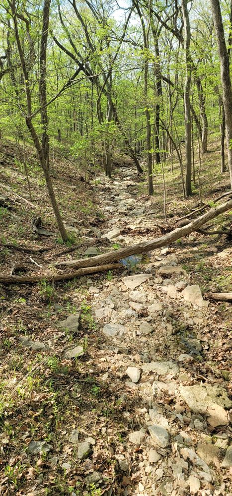 POWDER VALLEY CONSERVATION NATURE CENTER - Updated December 2025 - 252 ...