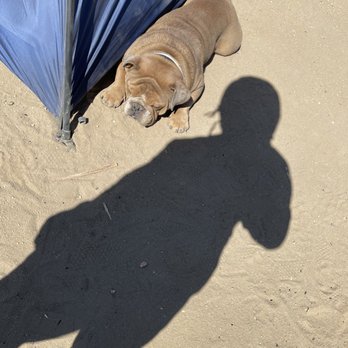 MOON ROCKS - Updated October 2025 - 45 Photos - Reno, Nevada - Active ...