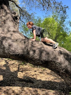 AUSTIN NATURE & SCIENCE CENTER - 177 Photos & 122 Reviews - 2389 ...