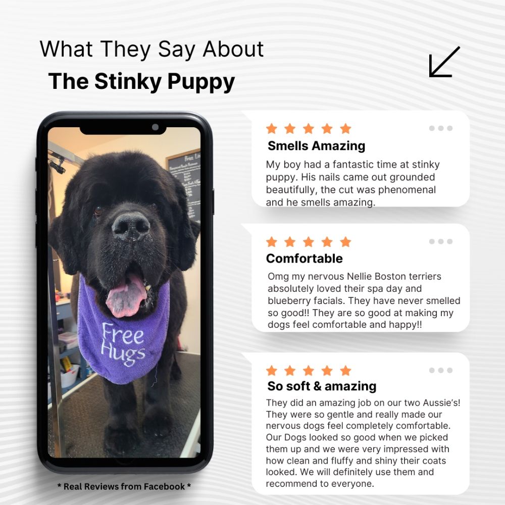 THE STINKY PUPPY - Updated August 2025 - Request an Appointment - 18 ...