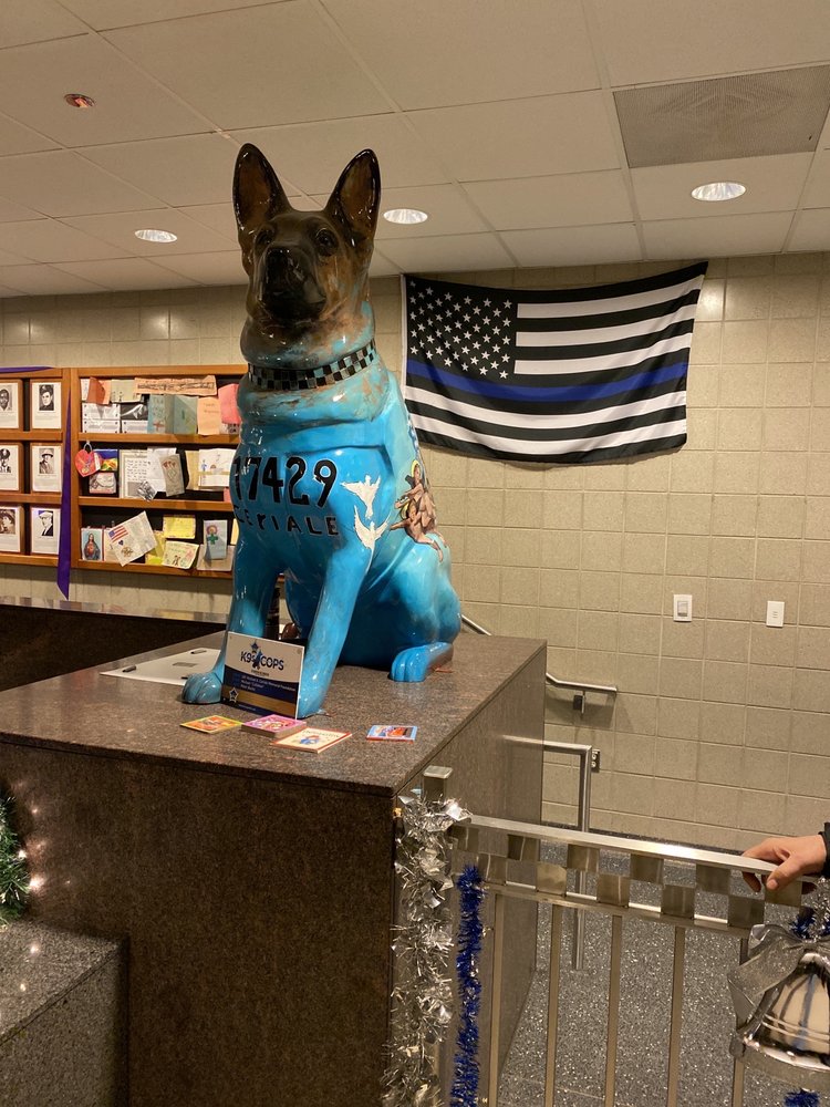 CHICAGO POLICE DEPARTMENT HEADQUARTERS - Updated December 2024 - 24 ...