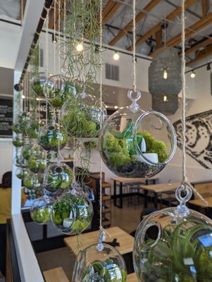 LONG BEACH FISH GRILL - Updated June 2024 - 96 Photos & 43 Reviews ...