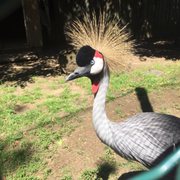 THE ZOO IN FOREST PARK & EDUCATION CENTER - 52 Photos & 21 Reviews ...