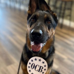 RED HAND BREWING - Updated July 2025 - 348 Bedford St, Lakeville ...