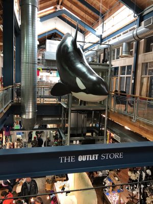 THE OUTLET STORE - Updated August 2025 - 22 Photos & 20 Reviews - 5 ...