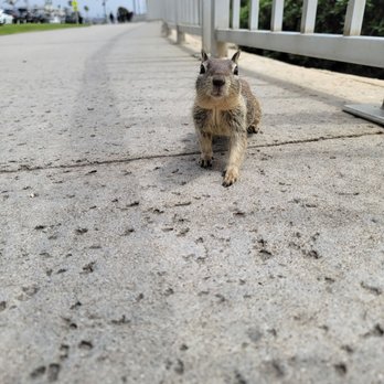 TAMARACK STATE BEACH - Updated January 2026 - 399 Photos & 100 Reviews ...