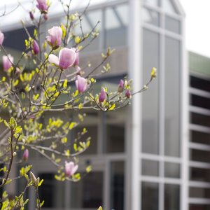 UNIVERSITY RADIOLOGY GROUP - Updated October 2025 - 32 Reviews - 483 ...