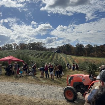 MERCIER ORCHARDS - Updated August 2024 - 984 Photos & 672 Reviews - 8660 Blue Ridge Dr, Blue ...