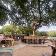 THE LITTLE DARLIN’ - 346 Photos & 424 Reviews - American (Traditional ...