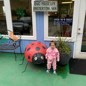 BUG & REPTILE MUSEUM - 64 Photos & 32 Reviews - Museums - 1118 ...